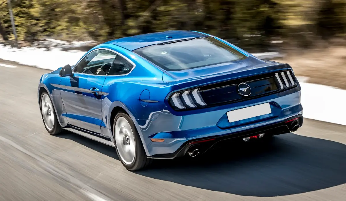 Ford Mustang GT Mach 1 Rental | High-Performance Muscle Car